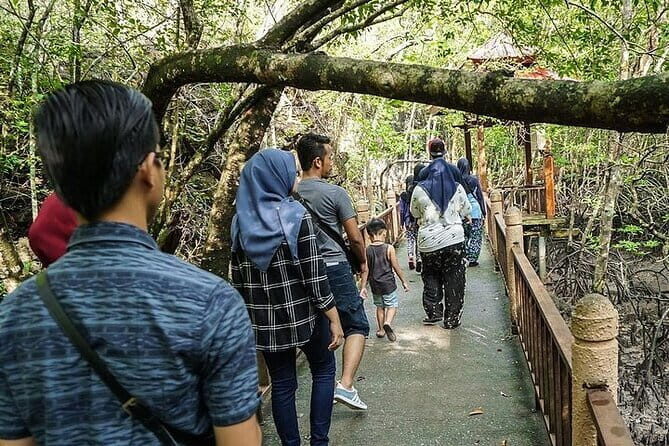 Langkawi Mangrove Kilim UNESCO Geopark and Cave Exploring Tour - Exploring Langkawi’s Natural Marvels in Depth