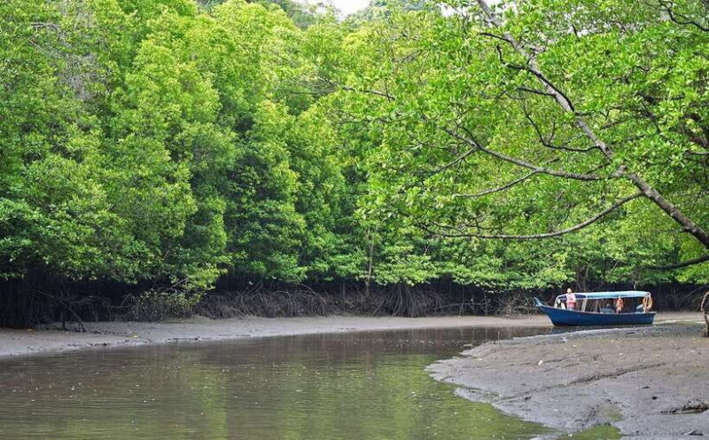 Langkawi: Mangrove Kilim UNESCO Geopark & Cave Tour - The Experience’s Strengths and Considerations