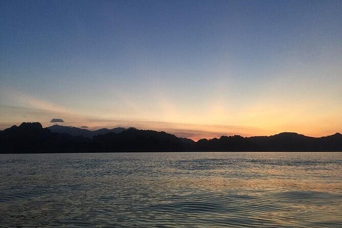 Langkawi Mangrove Night Safari And Wildlife With BBQ Dinner - What’s Included and What to Expect