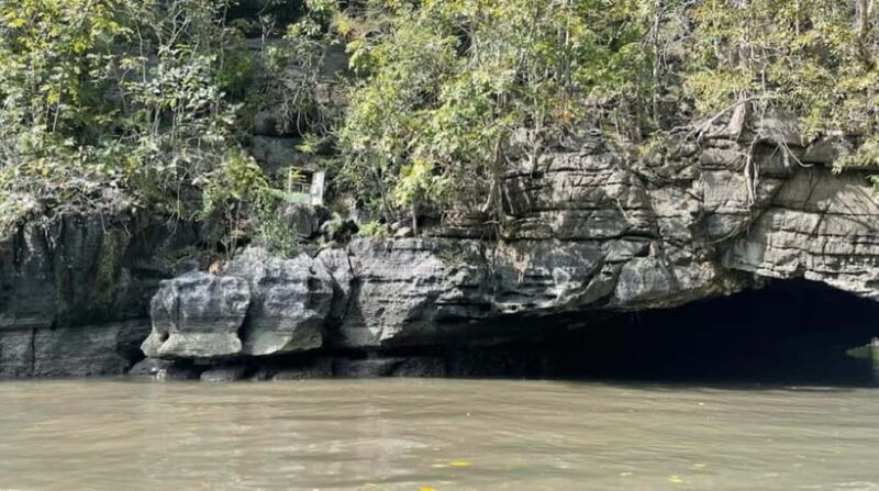 Langkawi Mangrove Tour : Estimated 3 hours Lunch Available - Exploring the Langkawi Mangrove Tour: A Natural Adventure