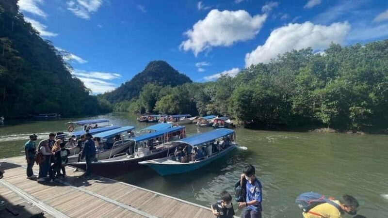 Langkawi Mangrove Tour : Estimated 3 hours Lunch Available - Who Should Consider This Tour?
