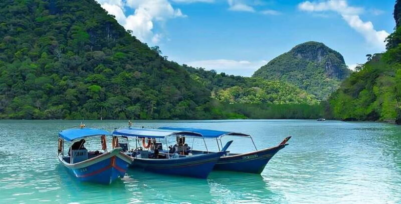 Langkawi: Mangrove Tour with Kilim Geoforest Park & Bat Cave - Key Points