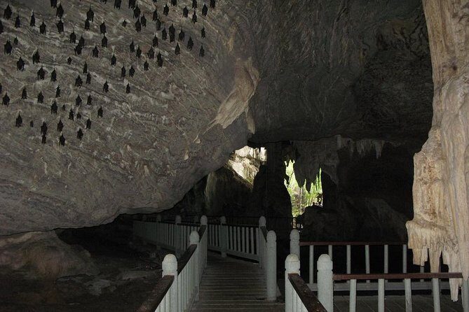 Langkawi Mangrove with Kayaking Experince - The Value in the Details: What Makes This Tour Stand Out