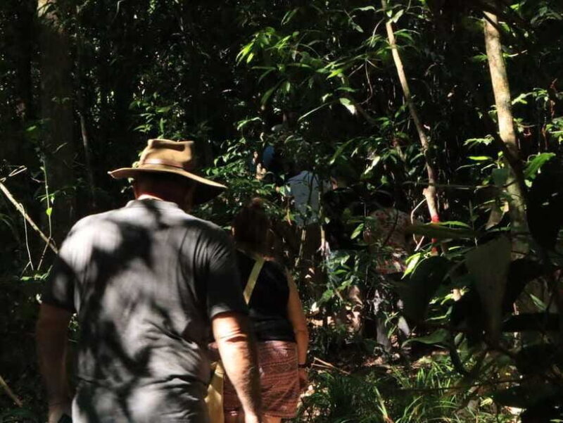 Langkawi: Morning Rainforest Walking Tour - FAQs
