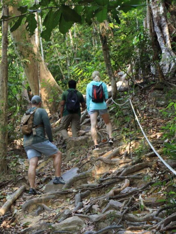 Langkawi: Mount Matchinchang Hiking Tour - Analyzing the Value: Who Will Love This Tour?