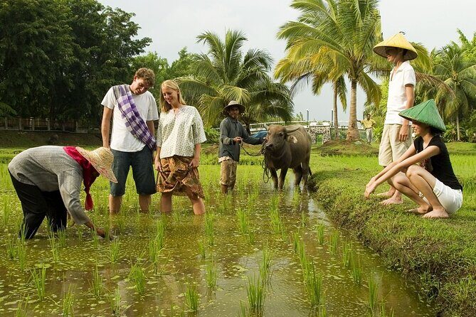 Langkawi Myth & Legend Tour MahsuriTomb TelagaTujuh BerasTerbakar - Introduction: Setting the Scene