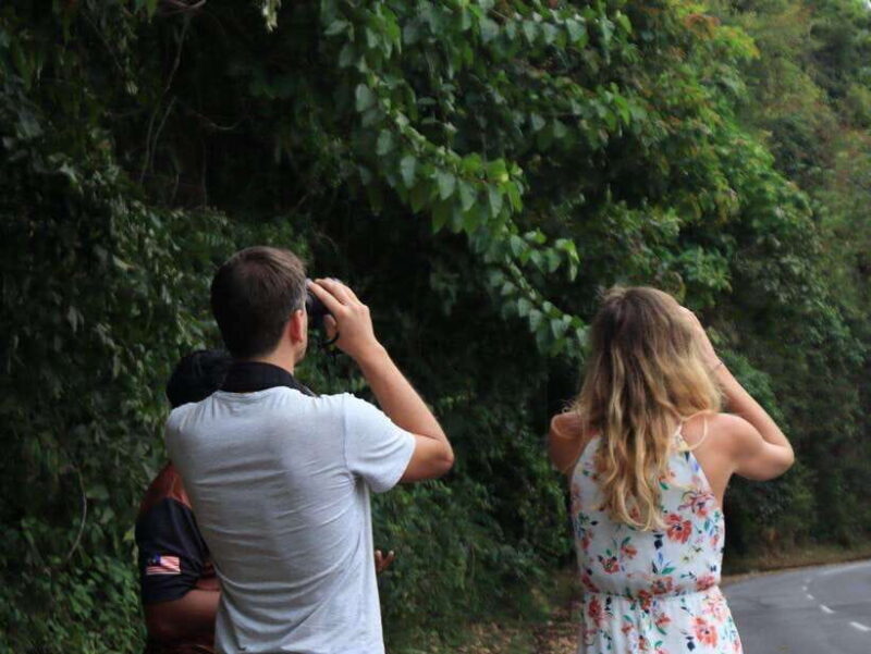 Langkawi: Nighttime Rainforest Tour with Nature Guide - Authentic Experiences and Real Traveler Insights