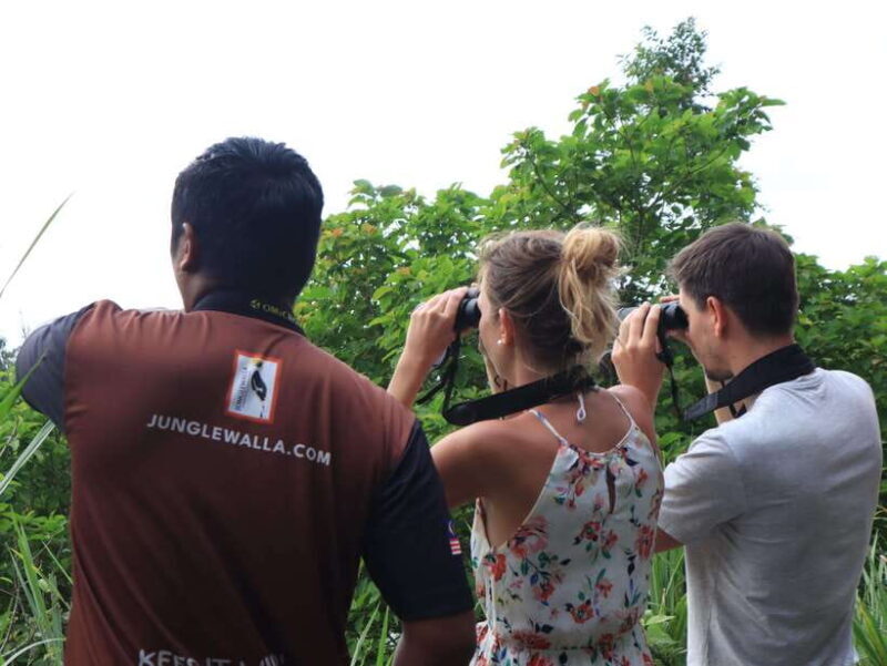 Langkawi: Nighttime Rainforest Tour with Nature Guide - The Final Verdict: Who Should Consider This Tour
