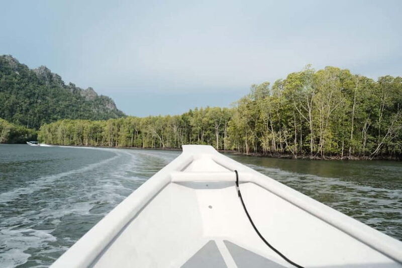 Langkawi: Private 2-Hour Mangrove Tour with Hotel Transfer - An Intimate Look at the Langkawi Mangrove Tour