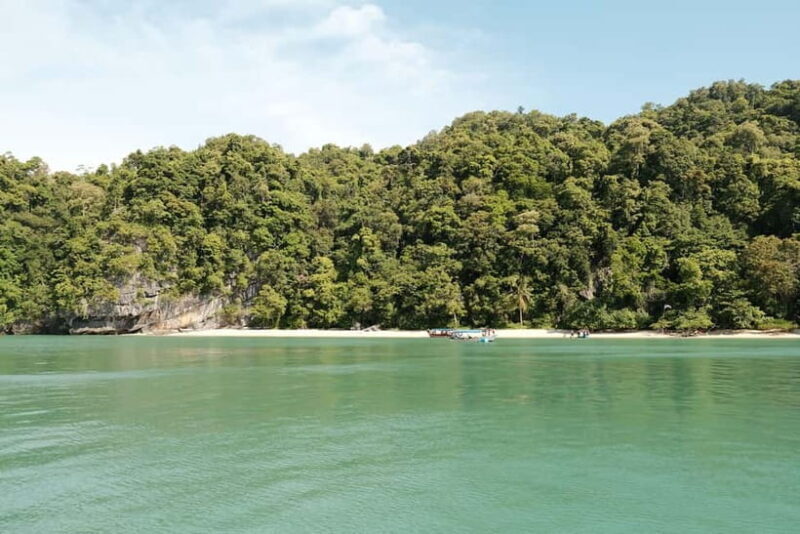 Langkawi: Private 2-Hour Mangrove Tour with Hotel Transfer - Dining and Wildlife Watching: A Touch of Nature and Comfort