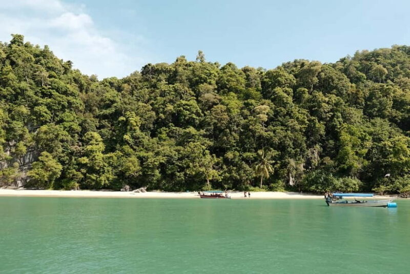 Langkawi: Private 2-Hour Mangrove Tour with Hotel Transfer - Practical Details and Tips for the Tour