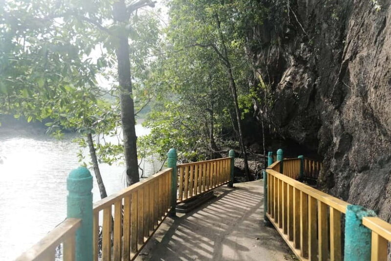 Langkawi: Private 2-Hour Mangrove Tour with Hotel Transfer - Why This Tour Offers Great Value