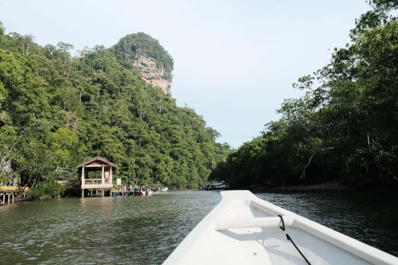 Langkawi: Private 2-Hour Mangrove Tour with Hotel Transfer - Who Should Consider This Tour?