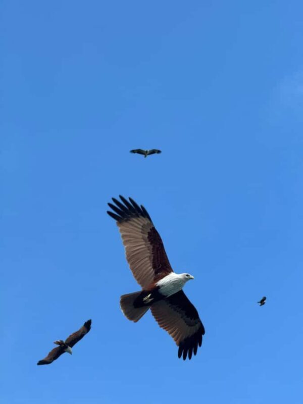 Langkawi: Private Fun Island Hopping by Jet Ski - The Value and Who It’s For