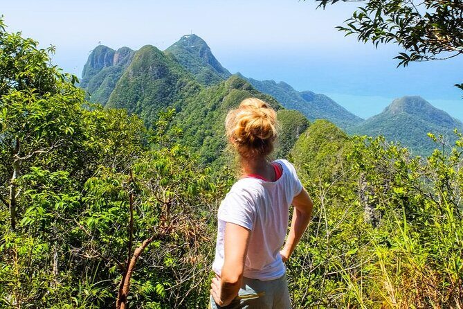 Langkawi Rainforest Jungle Trekking Tour with Private Pickup - What to Expect From the Rainforest Tour