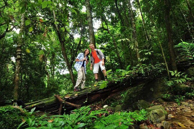 Langkawi Rainforest Jungle Trekking Tour with Private Pickup - Who Would Love This Tour?