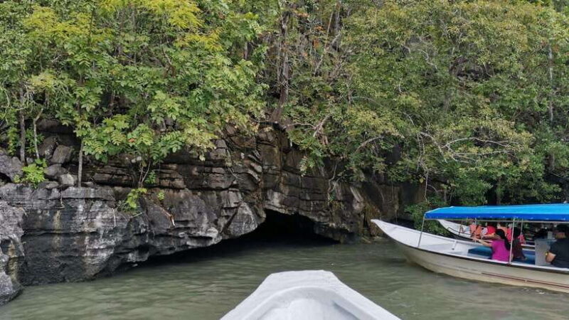 Langkawi Signature Mangrove Discovery Boat Tour (Shared) - An In-depth Look at the Langkawi Mangrove Discovery Experience