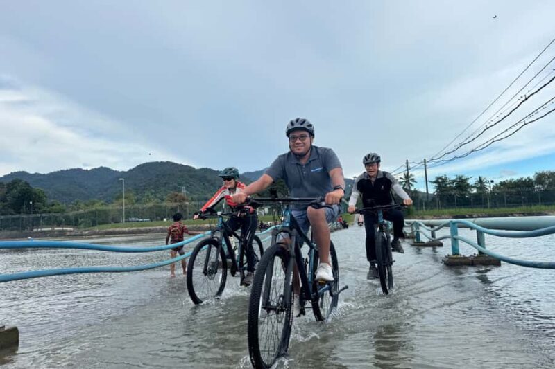 Langkawi: Small Group Countryside Cycling Tour Paddy Fields - Key Points
