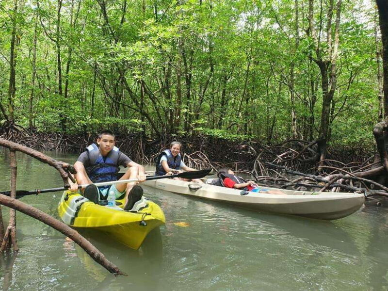Langkawi: Sunset Kayaking Tour - Introduction to the Langkawi Sunset Kayaking Tour