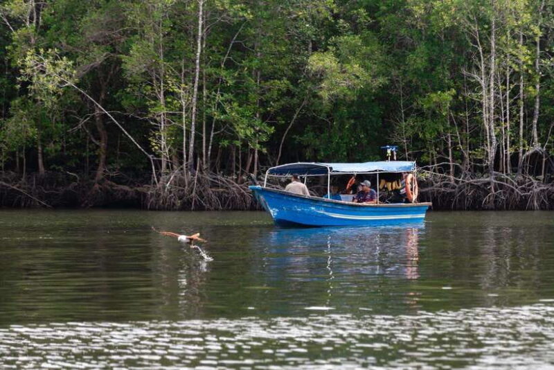 Langkawi Tanjung Rhu Mangrove Private Boat Tour 2 Hours - Is It Worth the Price?