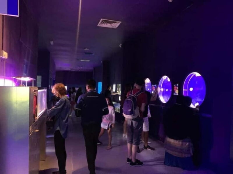 Langkawi: Underwater World Langkawi Entry Ticket - Final Thoughts: Is It Worth Your Visit?