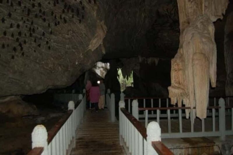 Langkawi UNESCO Snorkeling Tour & Night Safari - Introduction