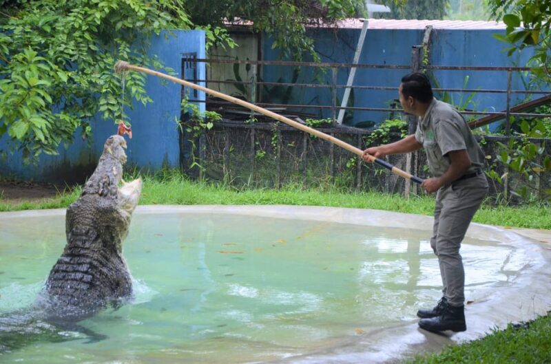 Langkawi: Wildlife Park Admission Ticket - A Detailed Look at Langkawi Wildlife Park