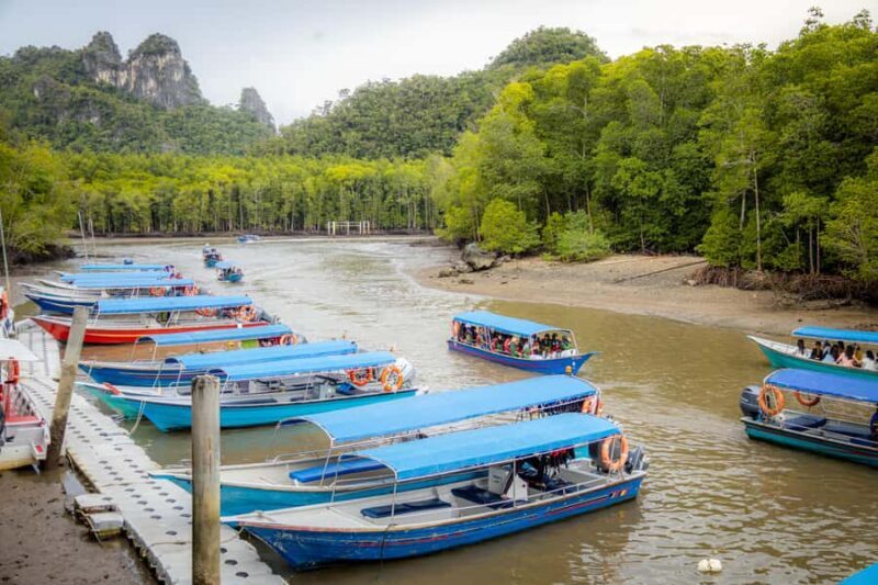 Langkawi:6 Hours Mangrove Night Safari with Pick Up & Dinner - Weighing the Value