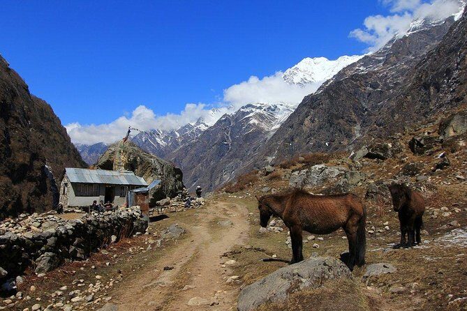 Langtang Gosaikunda Trek - 16 Days - Returning via a Different Route