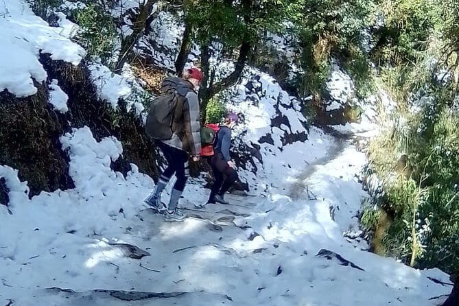 Langtang Gosainkunda Trek - 12 Day - What Reviewers Say