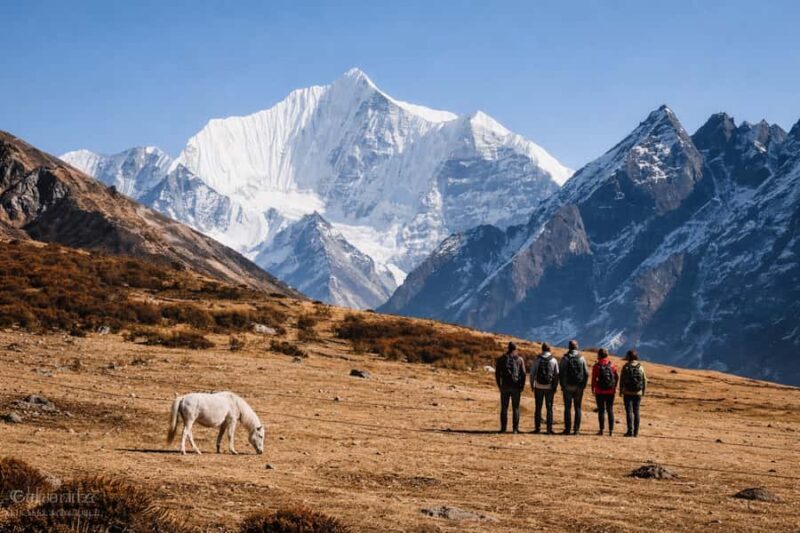 Langtang Highlands Trek via Tserko Ri & Sherpagaon - Authentic Experiences & Local Insights