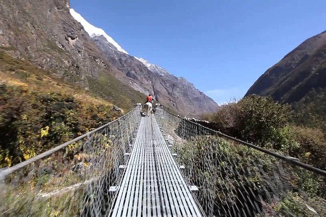 Langtang Valley Trek- 10 Days - Who Will Love the Langtang Trek?