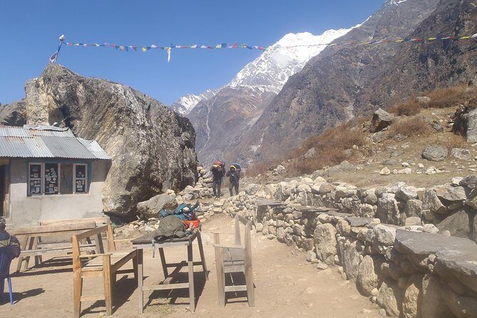 Langtang Valley Trek - Real-World Feedback: Authentic Perspectives