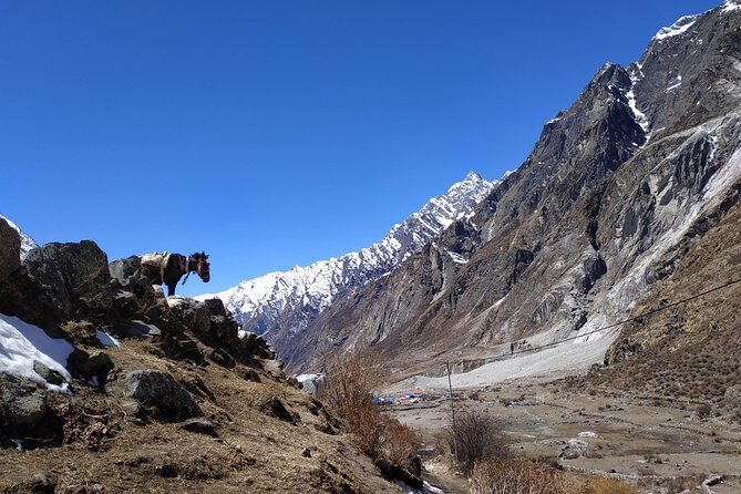 Langtang Valley trek - An Introduction to the Experience