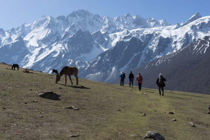 Langtang Valley Trek - FAQ