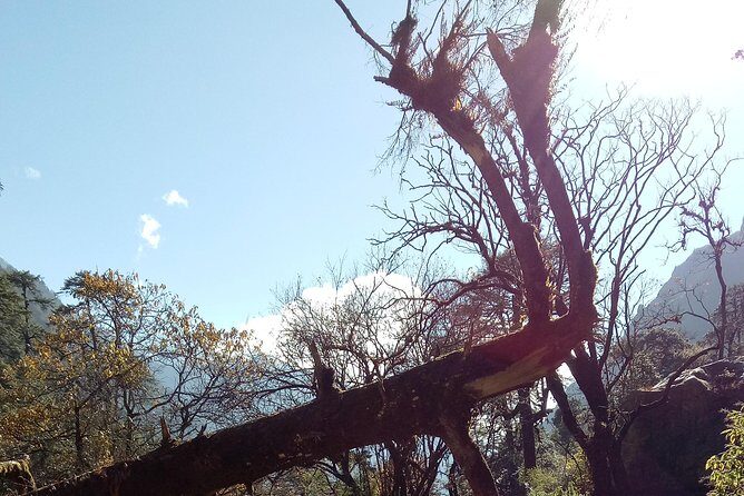 Langtang Valley Trekking - Starting Point: Kathmandu and Transportation