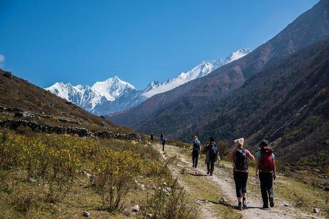 Langtang Valley Trekking - What to Expect: Logistics and Value