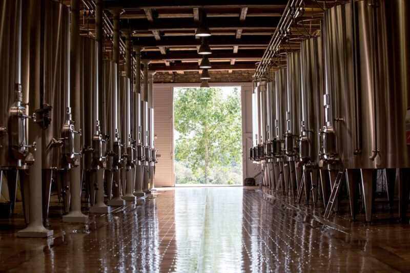 Languedoc: Terroir Tour & Tasting at Domaine de Baronarques - Final Thoughts