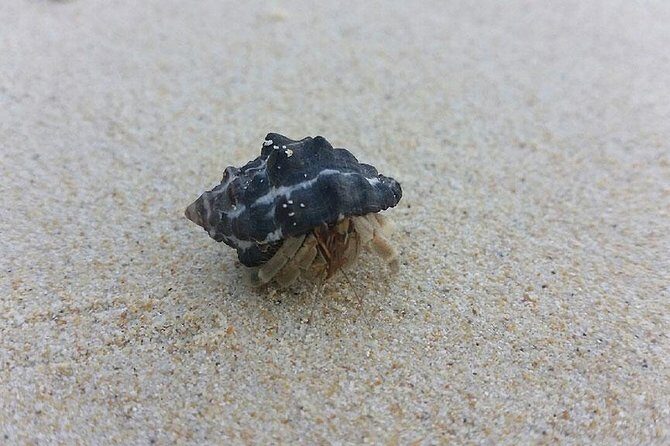 Lanta 4 Islands + Emerald Cave Snorkeling Tour - Transportation and Group Size