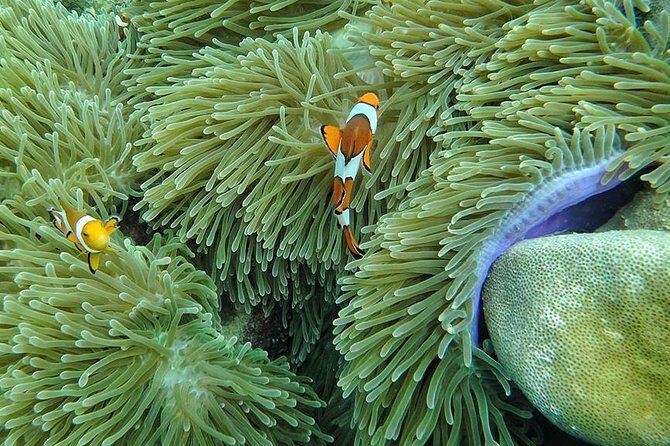 Lanta 4 Islands + Emerald Cave Snorkeling Tour - The Water and Weather Considerations