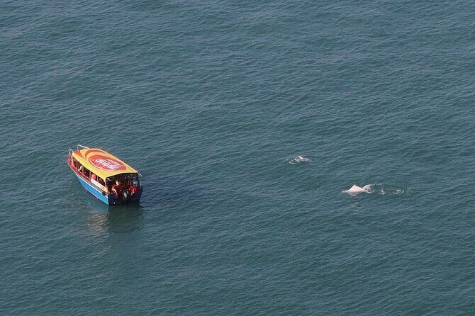 Lantau Group Tour: Dolphin Watching, Fishing Village & Cable Car - A Detailed Look at the Tour Experience