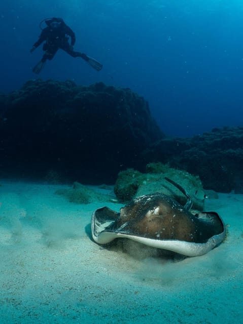 Lanzarote: 2-Dive Package for Certified Divers - An Introduction to the Experience