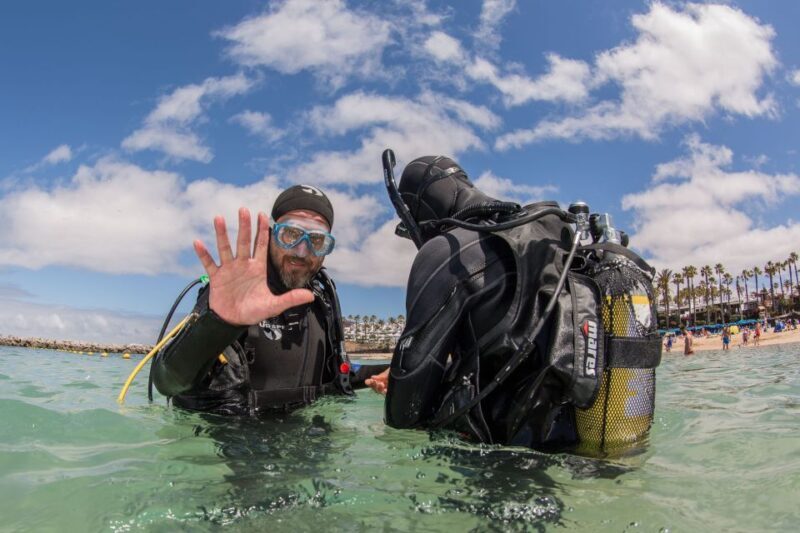 Lanzarote: 2-dive package in Playa Blanca - certified divers - An Introduction to Lanzarote’s Underwater Charm