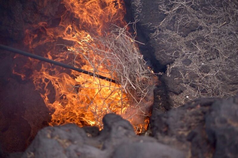 Lanzarote: 5-Hour Timanfaya National Park Southern Tour - An Overview of the Lanzarote Timanfaya Tour