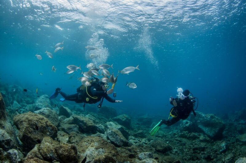 Lanzarote: Beginner Scuba Diving from the Beach - Final Thoughts
