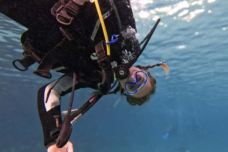 Lanzarote: Beginner Try Scuba Diving Costa Teguise (2 dives) - The Marine Environment of Lanzarote