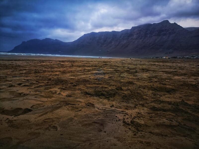Lanzarote: César Manrique Foundation and Teguise Market - Who is This Tour Best For?