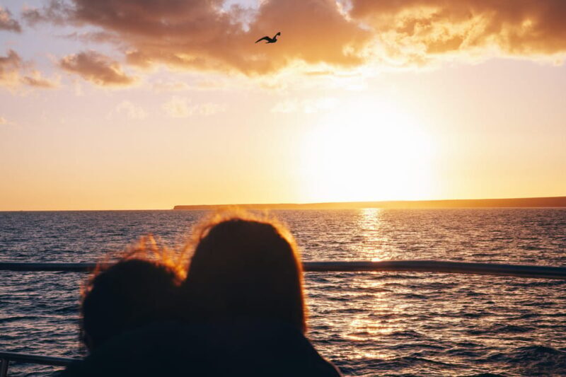 Lanzarote: Dolphin-Watching Sunset Cruise with Transfers - FAQ – Practical Questions about the Lanzarote Sunset Dolphin Cruise