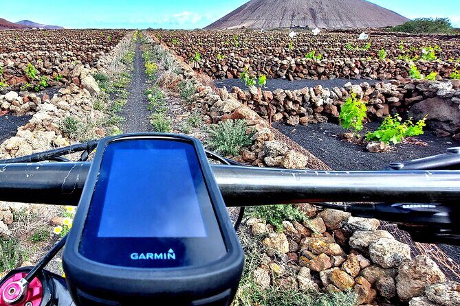 Lanzarote E-Bike Tour: Volcano Craters & Scenic Vineyards - An Introduction to Lanzarote’s Volcanic and Vine-Covered Landscapes