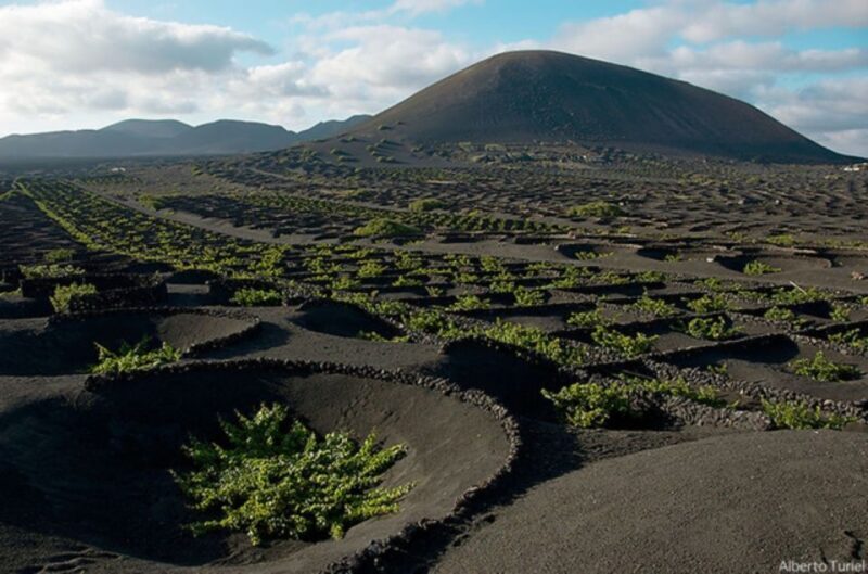 Lanzarote: Full Day Bus Tour with Scenic Views - What the Tour Means for You